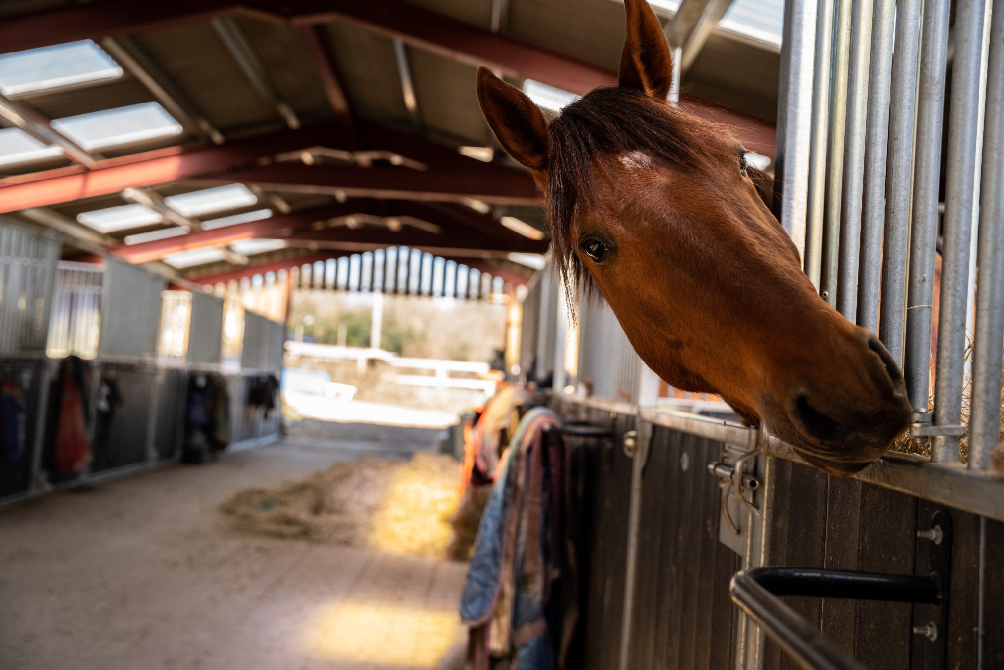 Hurstwood Farm Equestrian Centre – The Equestrian Training Centre